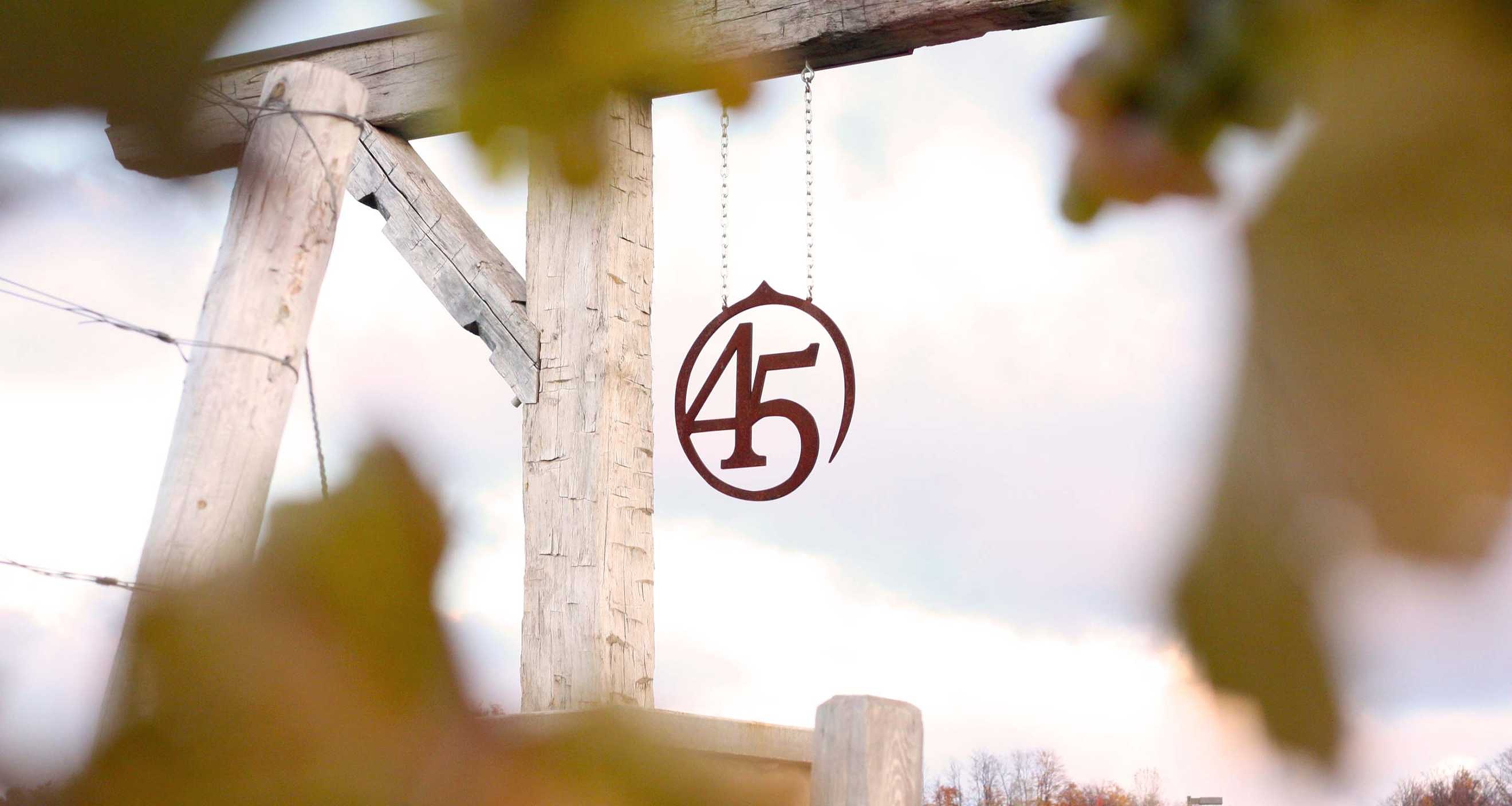 Vineyard – 45 North Vineyard & Winery